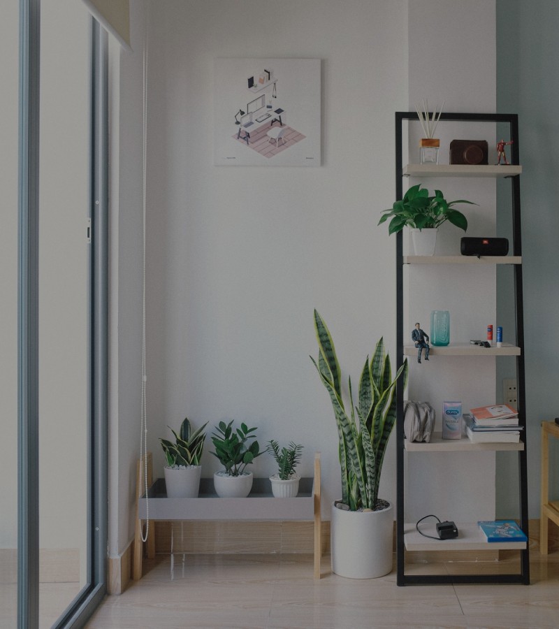 Real Estate Agent | Trident RE Group